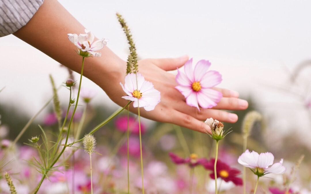 hand-and-flowers | American Hand Therapy Foundation